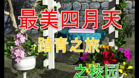 (修改)最美四月天踏春之旅之校园篇