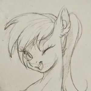 茴香狐 