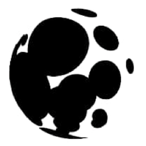 CSFS_ 