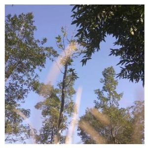 汽车信息行天下 