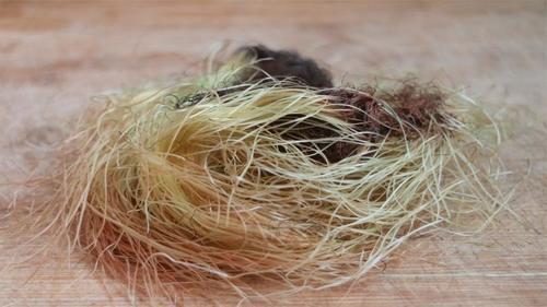 玉米须别再扔掉了 ,用水一煮,原先作用这样厉害,真是长见识了