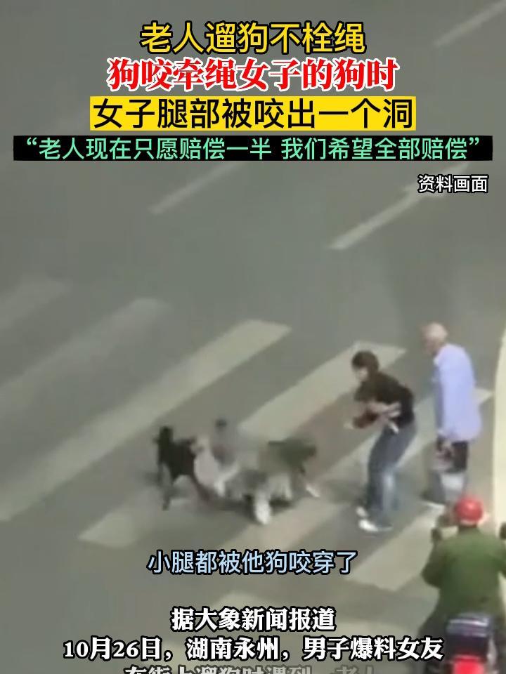 老人遛狗不栓绳 狗咬牵绳女子的狗时 女子腿部被咬出一个洞 "老人现在...