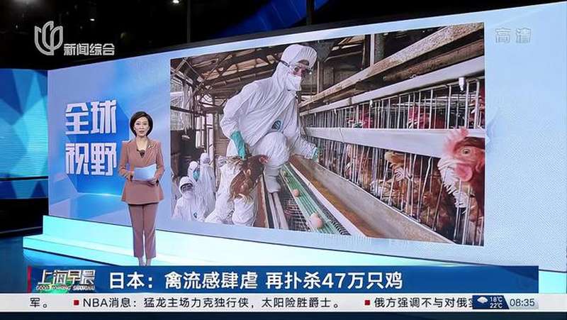 日本:禽流感肆虐 再扑杀47万只鸡
