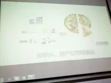 优秀微课--人民的税负