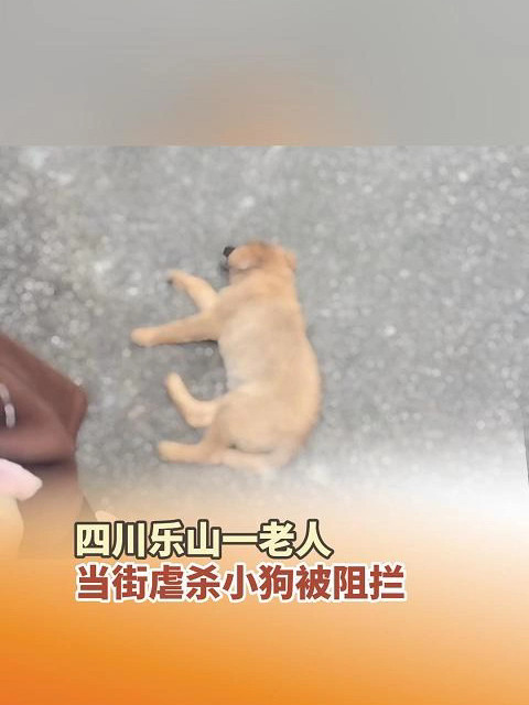 老人当街虐杀三个月狗狗,被当场拦下报警。目前小狗已被救助