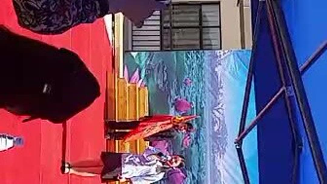 汝城职中 县艺术节国学经典朗诵比赛 一等奖《少年中国说》_标清.flv