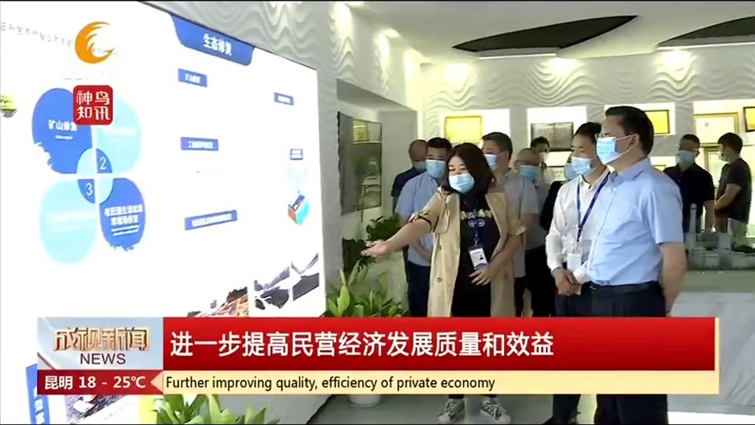 进一步提高民营经济发展质量和效益
