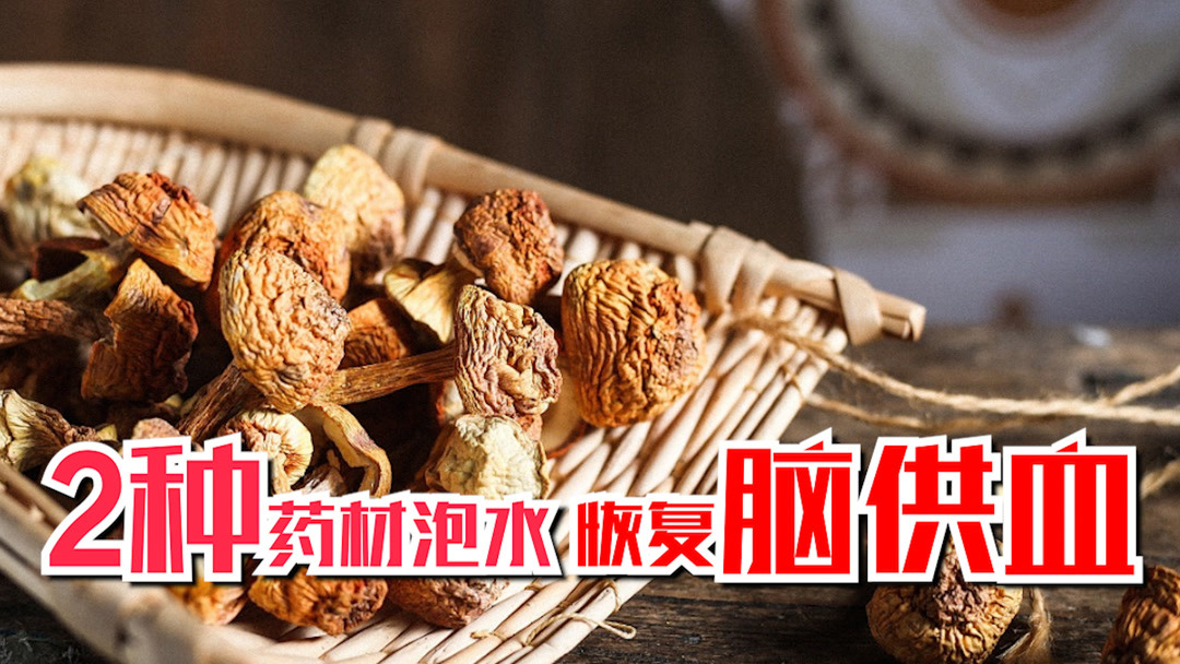 脑供血不足别慌,2种药材泡水,畅通堵塞血管,恢复脑供血