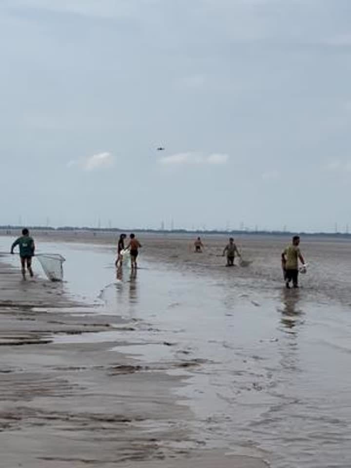 ...鱼真不容易呀,内裤都差点被潮水冲走了#汹涌澎湃的江水 #钱塘江大潮