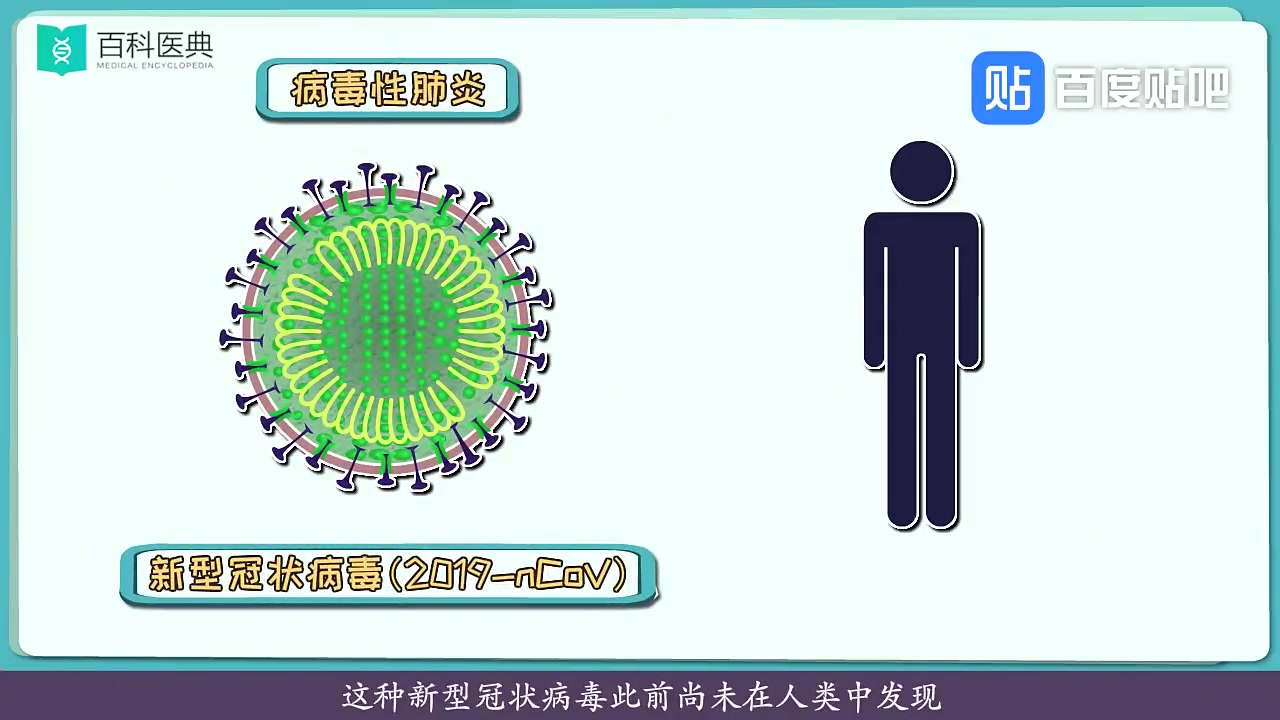 如何预防新型冠状病毒?
