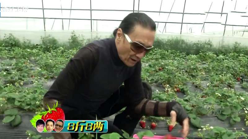 男神组摘草莓任务太欢乐,谢贤估算尽量太搞笑,老小孩上线!