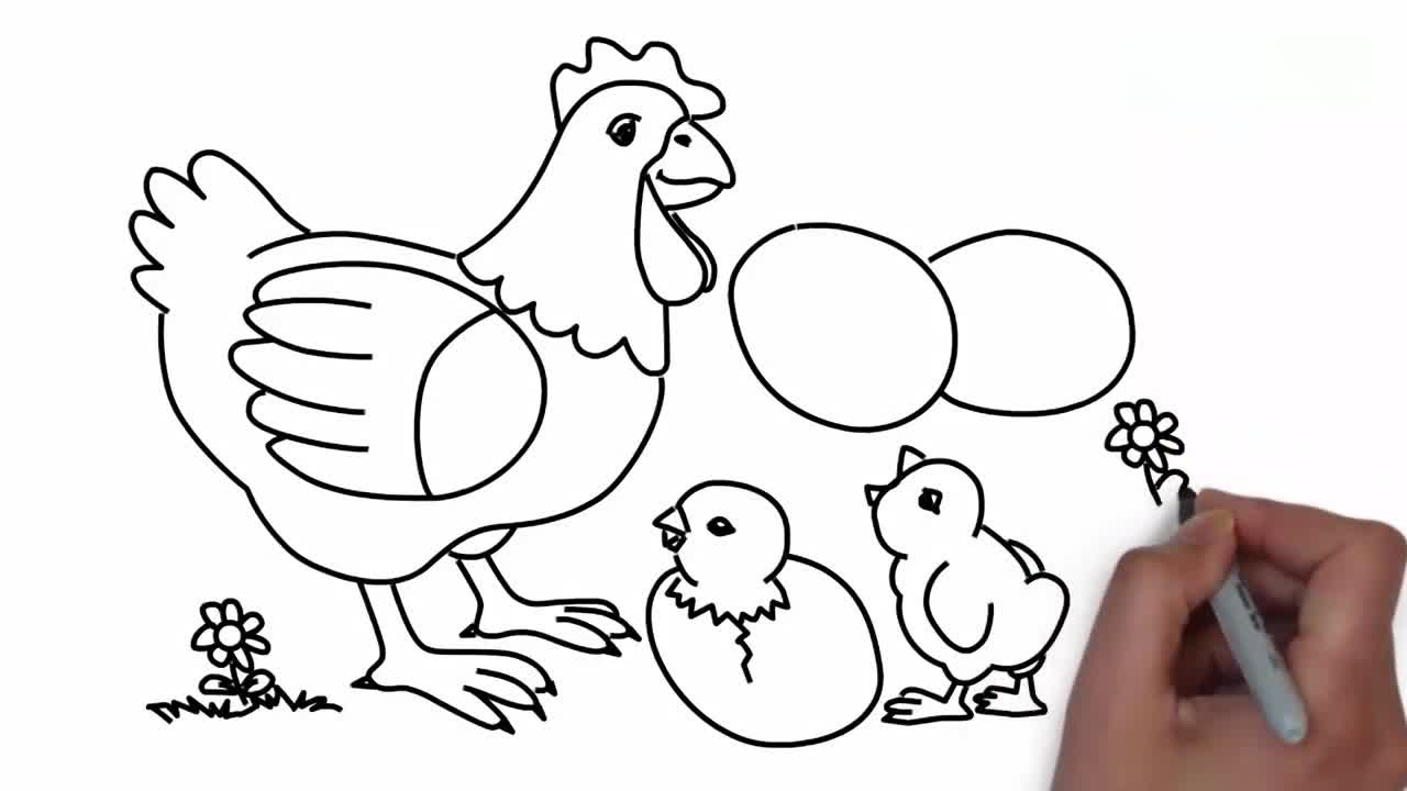 亲子早教动画 学画画母鸡孵出小鸡宝宝涂上不同颜色