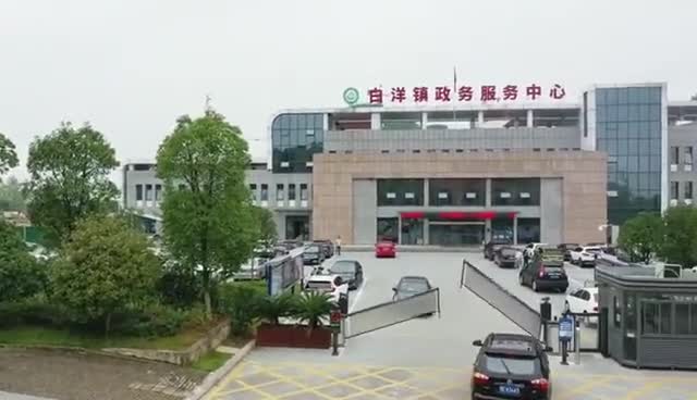 15分钟政务服务圈获全省推介!