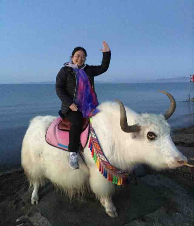 优酷用户1654846394384779 