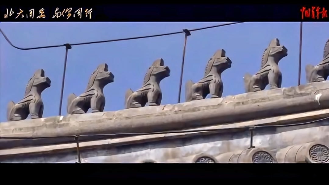 新时代“理论六讲”之四:青年如何在依法治国中贡献力量?
