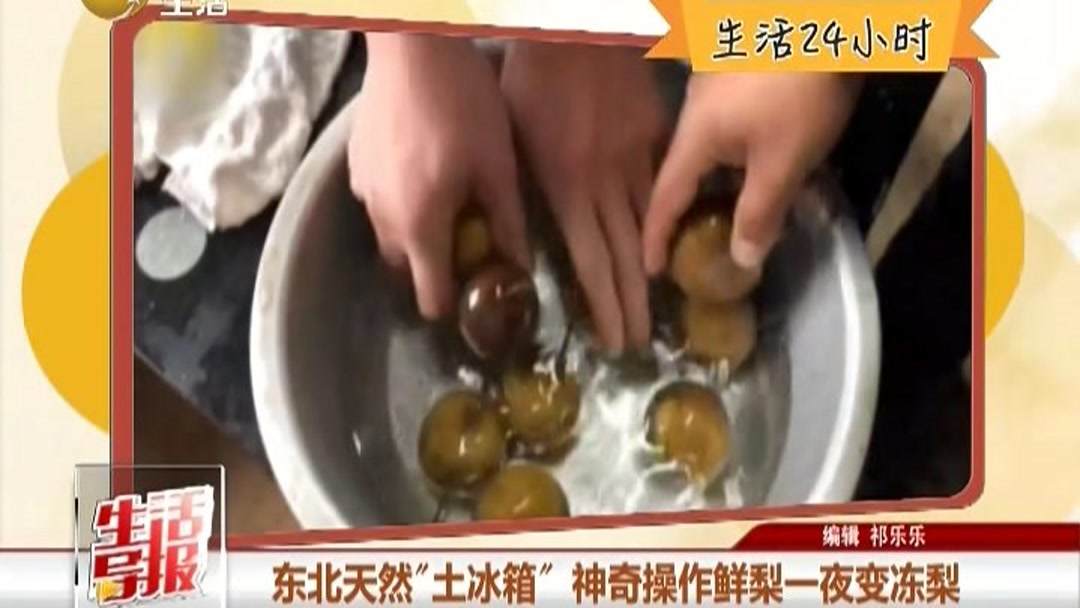 东北天然&#34;土冰箱&#34;神奇操作鲜梨一夜变冻梨