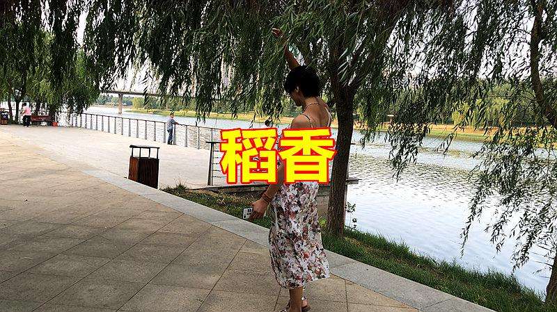 周杰伦一首《稻香》,词曲句句入心,真的是好听极了!