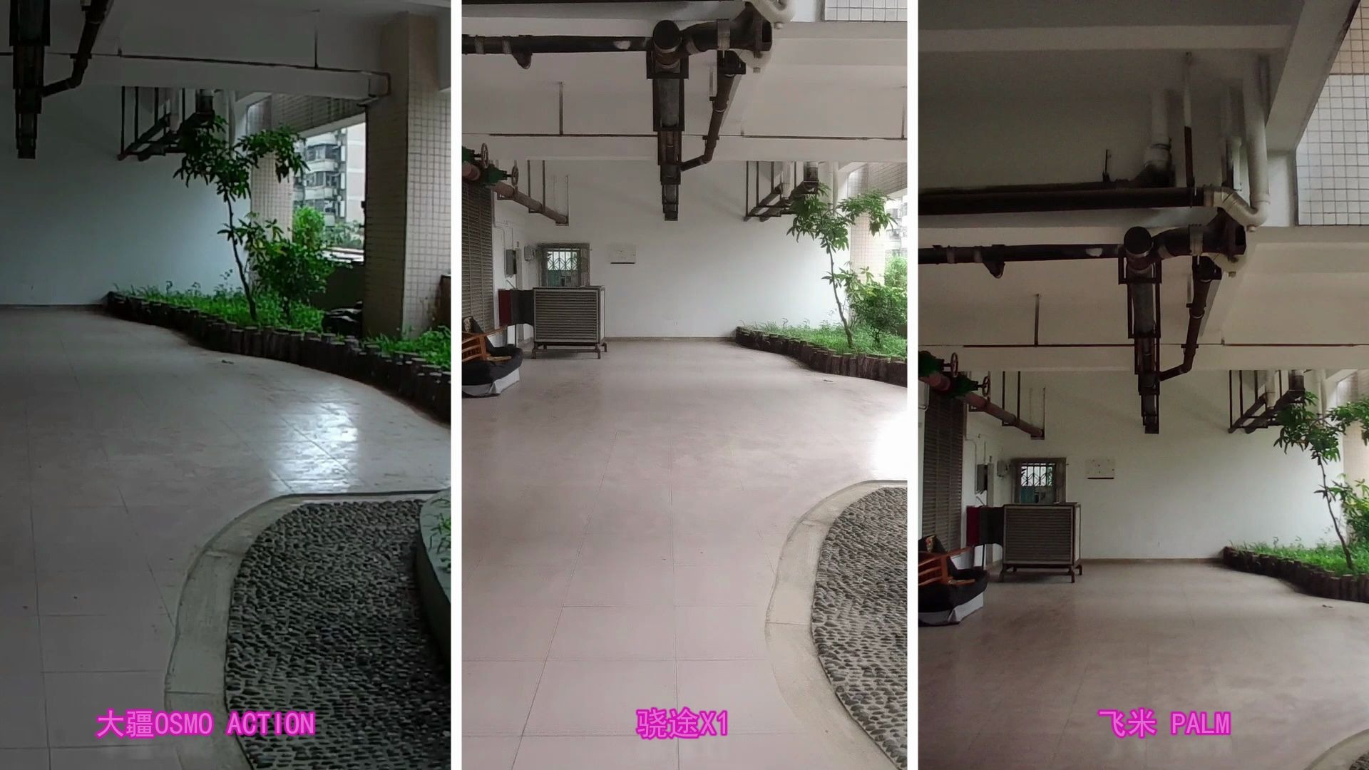 大疆OSMO ACTION、骁途X1、飞米PALM实拍对比