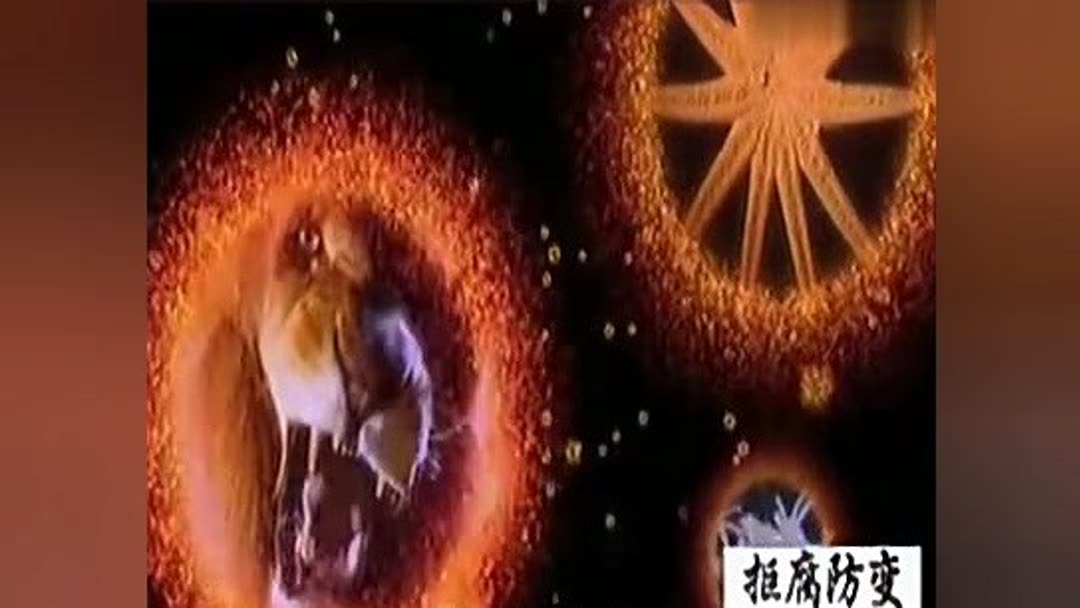 廉政警示教育片《守住第一次》