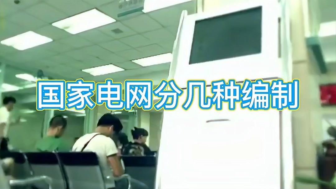 国家电网分几种编制