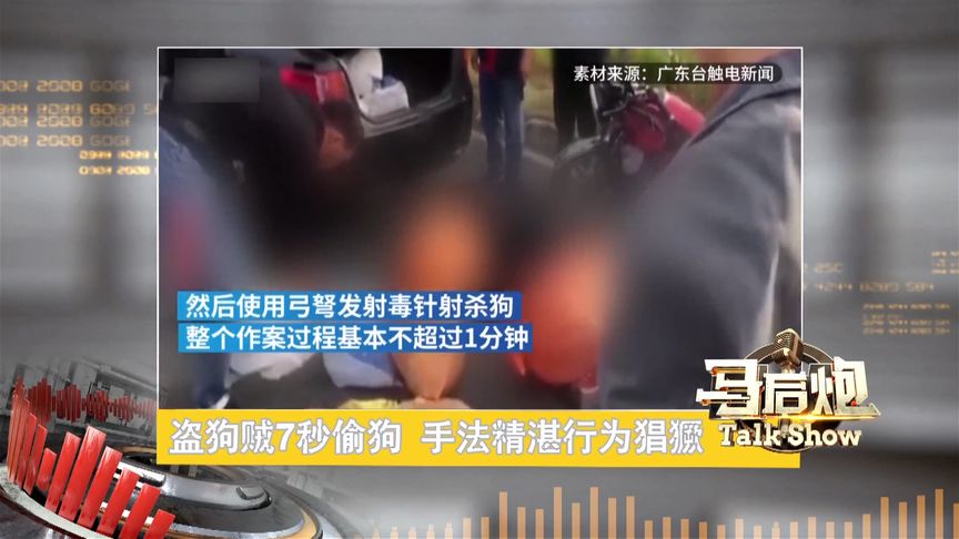 马后炮|盗狗贼7秒偷狗 手法精湛行为猖獗 #偷狗毒狗