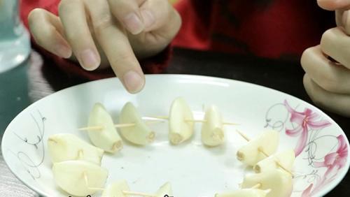 教你在家水培大蒜,几天就能发芽,简单又方便,让你吃到放心蒜苗