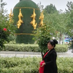 宛城区金香玉录相 