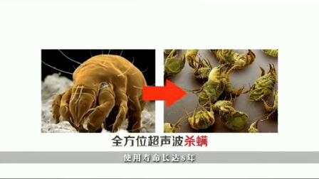 家用超声波除螨仪