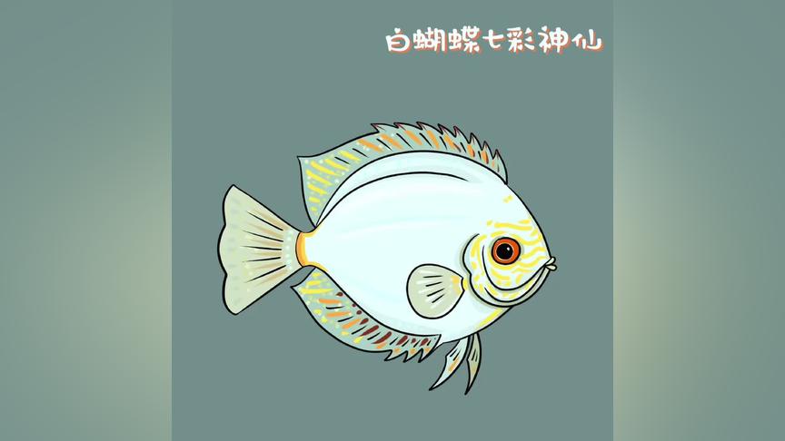 #简笔画教程 #动物世界 #少儿美术