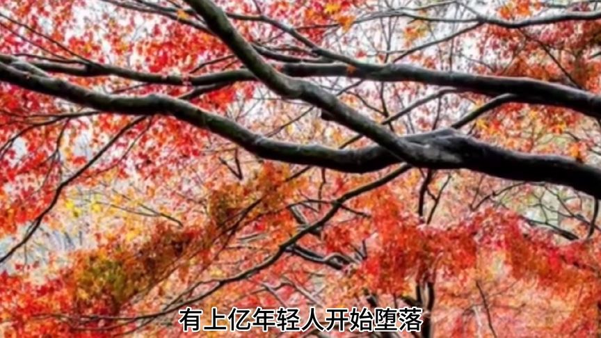 现在这种社会环境下,很多年轻人都快废掉了,都是闲的了。