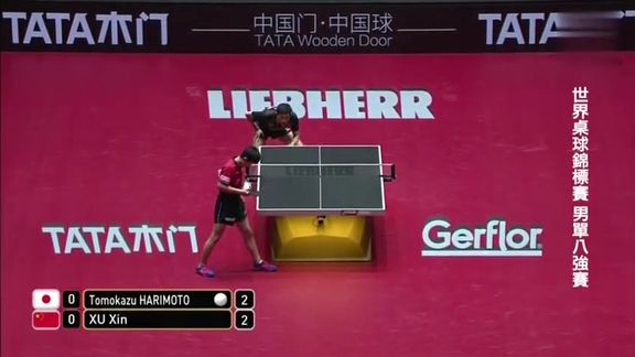 许昕怒怼张本智和!一记暴抽让日本天才闭嘴,张本智和瞬间懵逼了