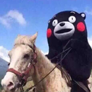 小白哥哥动画屋 