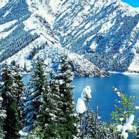 大鱼用户1575083974433105 