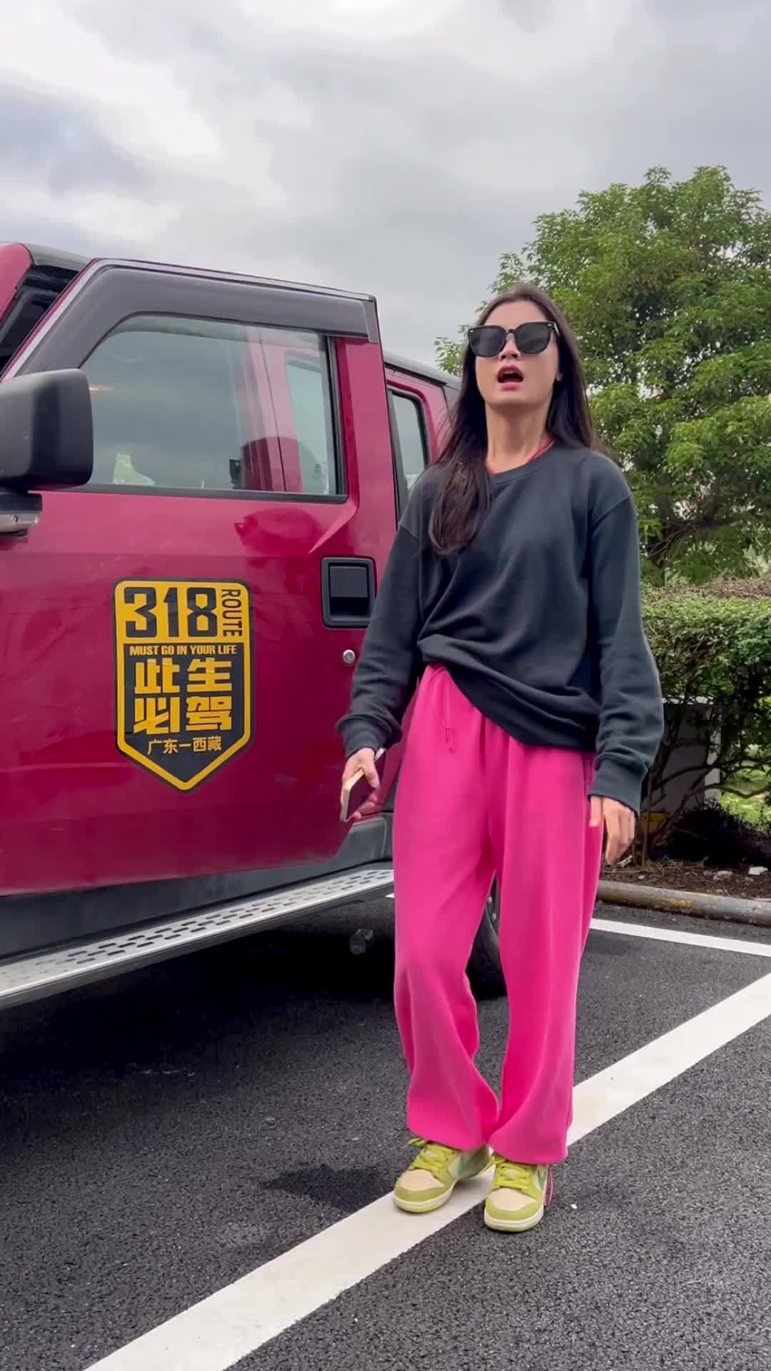 两个人自驾西藏,行程已经帮大家安排好了,记得点赞收藏#西藏旅游 #...