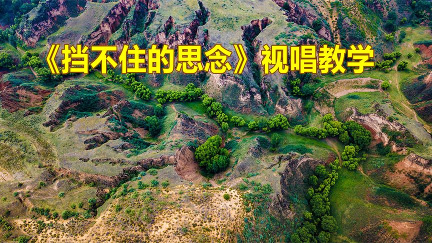 《挡不住的思念》视唱教学,零基础轻松学简谱