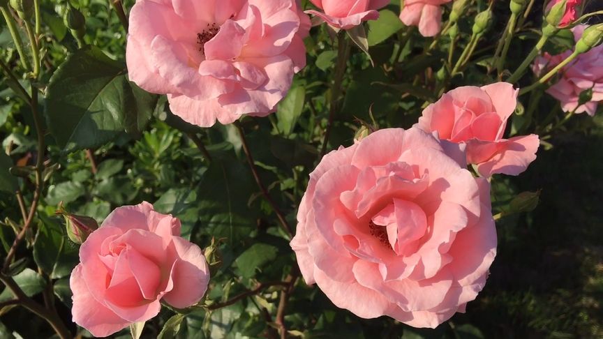 万水千山总是情