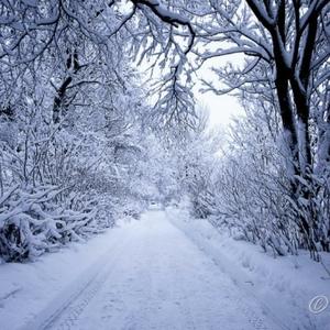 明天依旧在路上 