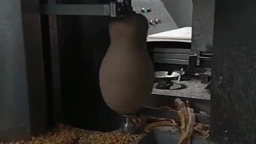 中国产番瓜取皮机,解放了人工的双手,效率还比之前快了几十倍