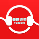 天琪音频声卡调试 