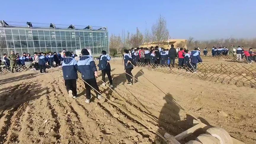 中原现代农业嘉年华劳动实践活动现场!#农耕文化