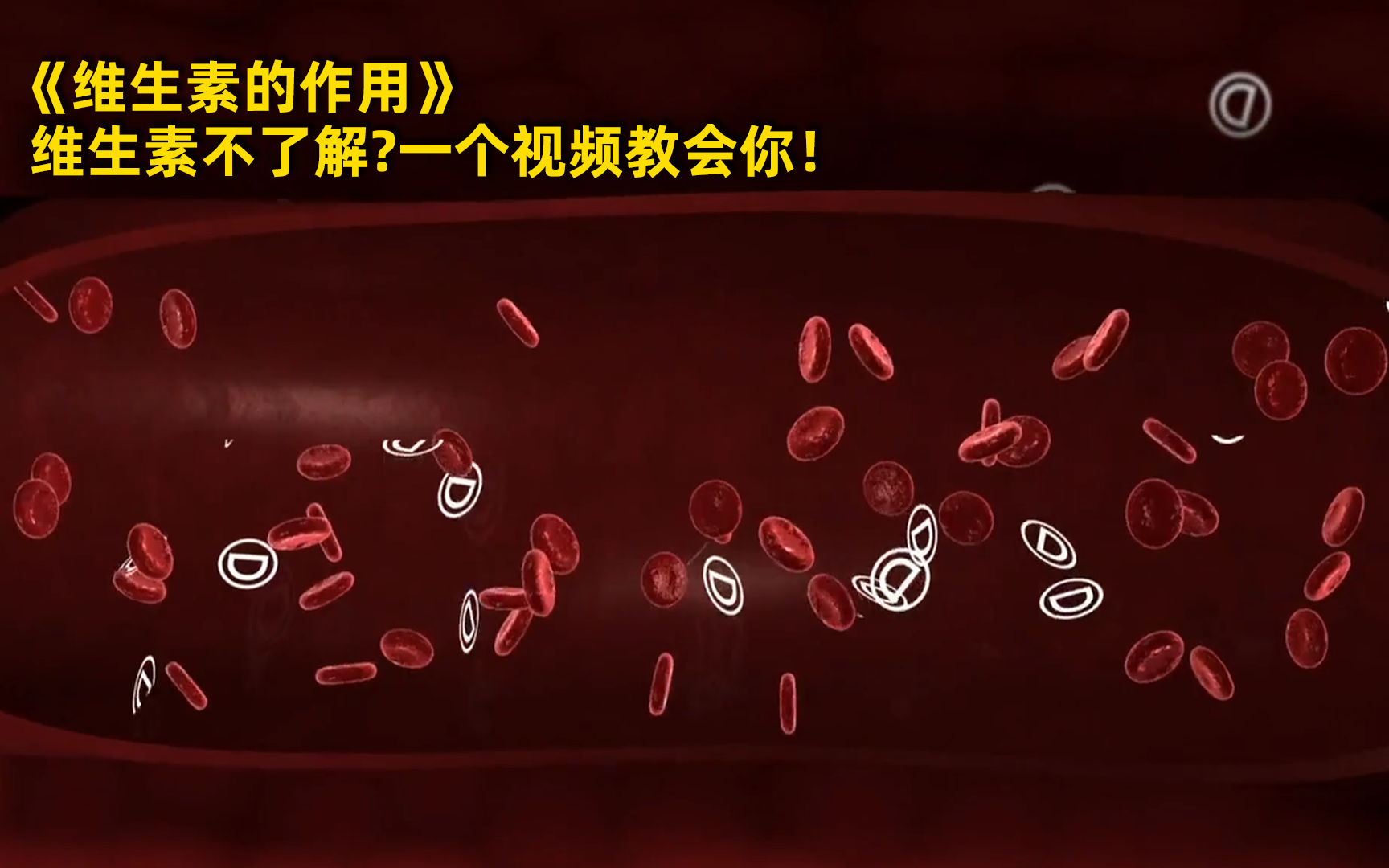 【维生素的作用】看点2:维生素不了解一个视频教会你! 竖版