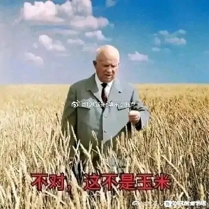 非常愤怒的金针菇 