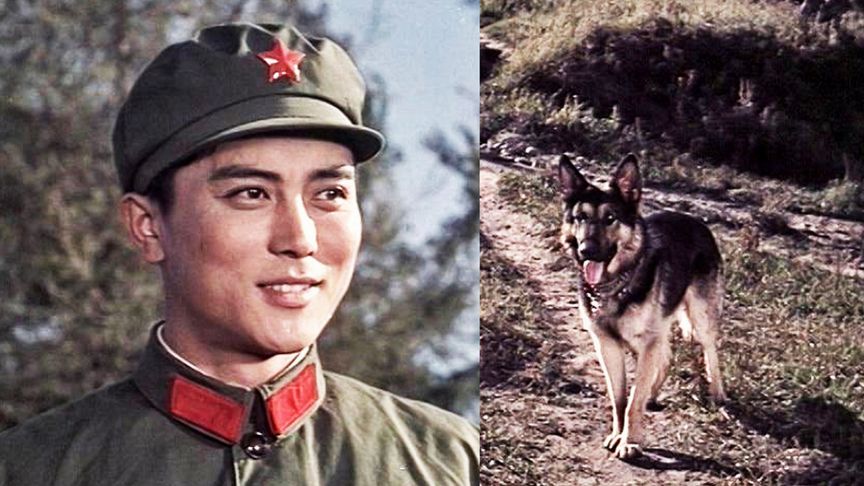 军犬成陆星无言的战友1982年电影《白桦林中的哨所》4卢君 韩月乔