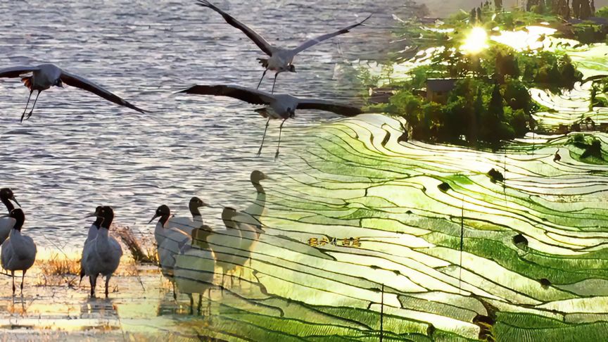 昭通铸牢中华民族共同体意识公益宣传片绿水青山篇