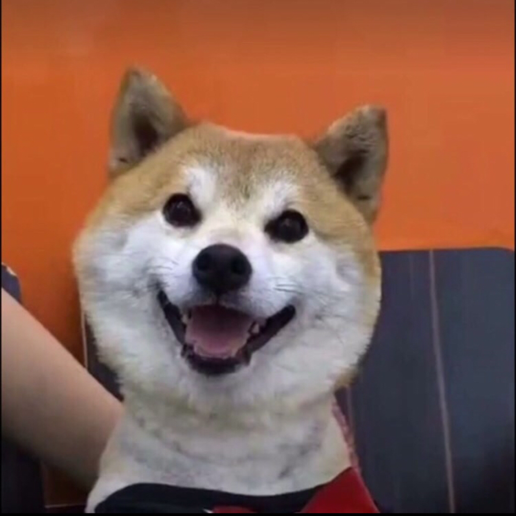 贼鸡扒土豆 