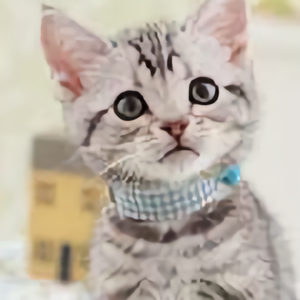 我倩宝宝萌萌哒 