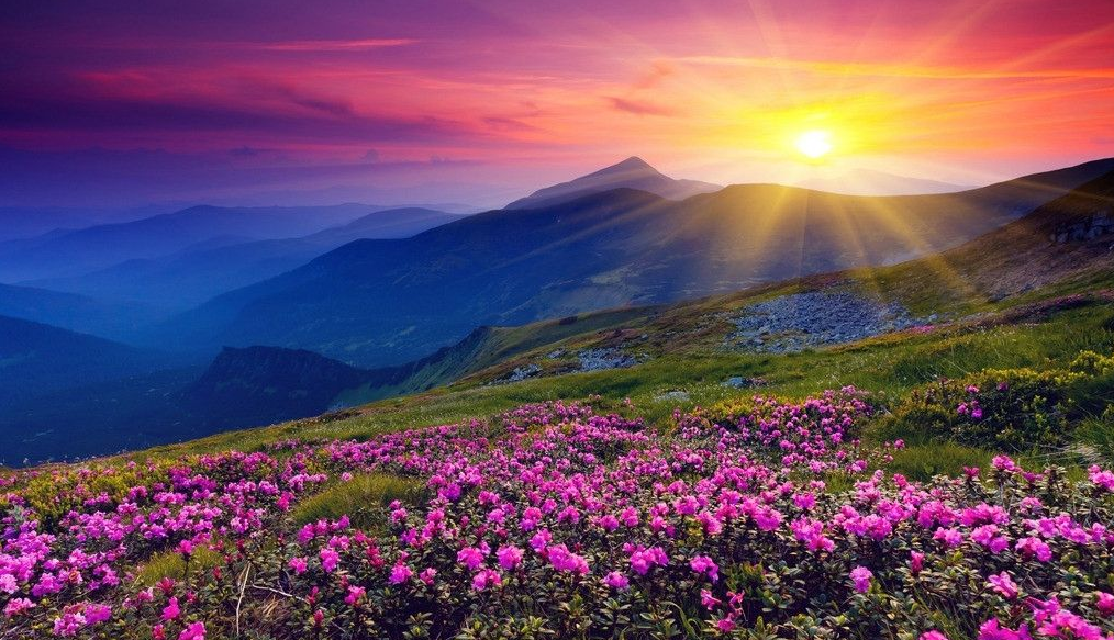 青蛾低映越山看 