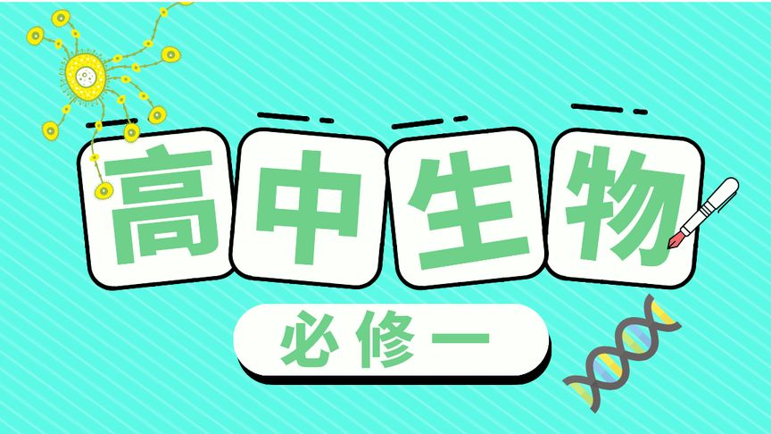 名师课堂 人教版高中生物必修一 第1章第2节细胞的多样性和统一性