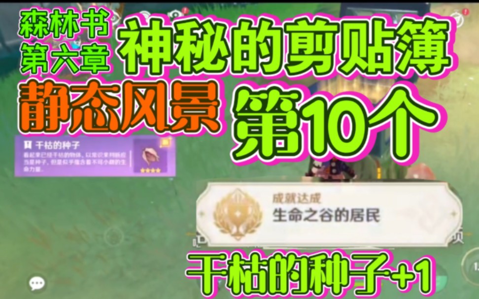 静态风景 神秘的剪贴簿/第10号宝箱位置/第十张图片宝箱/森林书第六章...