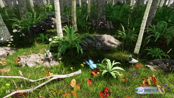 4K超高画质VR 3D虚拟森林